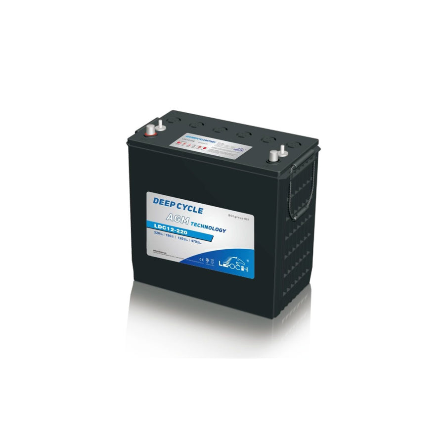 Leoch 12V 220Ah Deep Cycle AGM Battery - LDC12-220 – ML Performance
