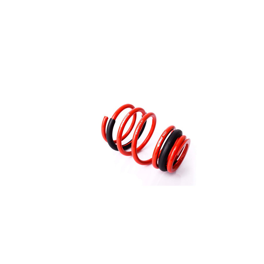MTS Technik Abarth Fiat Ford Coil Spring - GWFE41HA-01 Spare Parts – ML ...