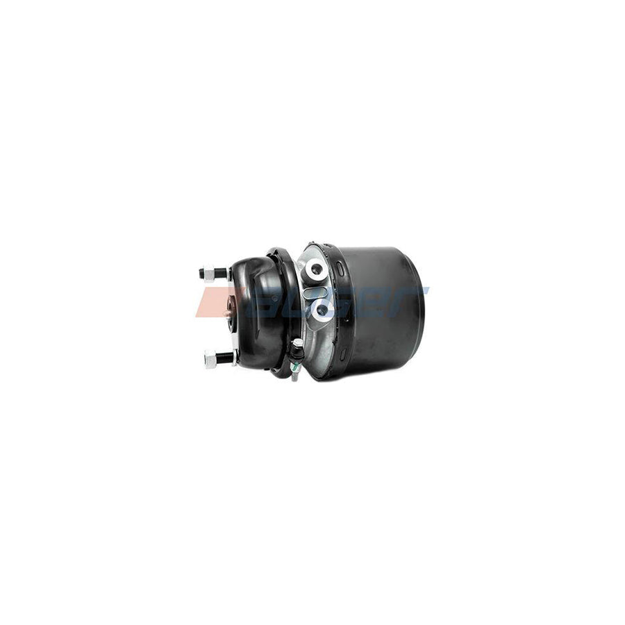 Auger 21161 Spring-Loaded Cylinder – ML Performance