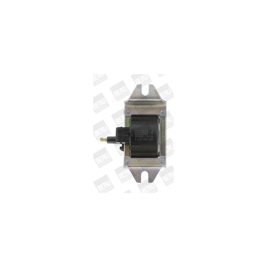 Beru Zs250 Ignition Coil – ML Performance