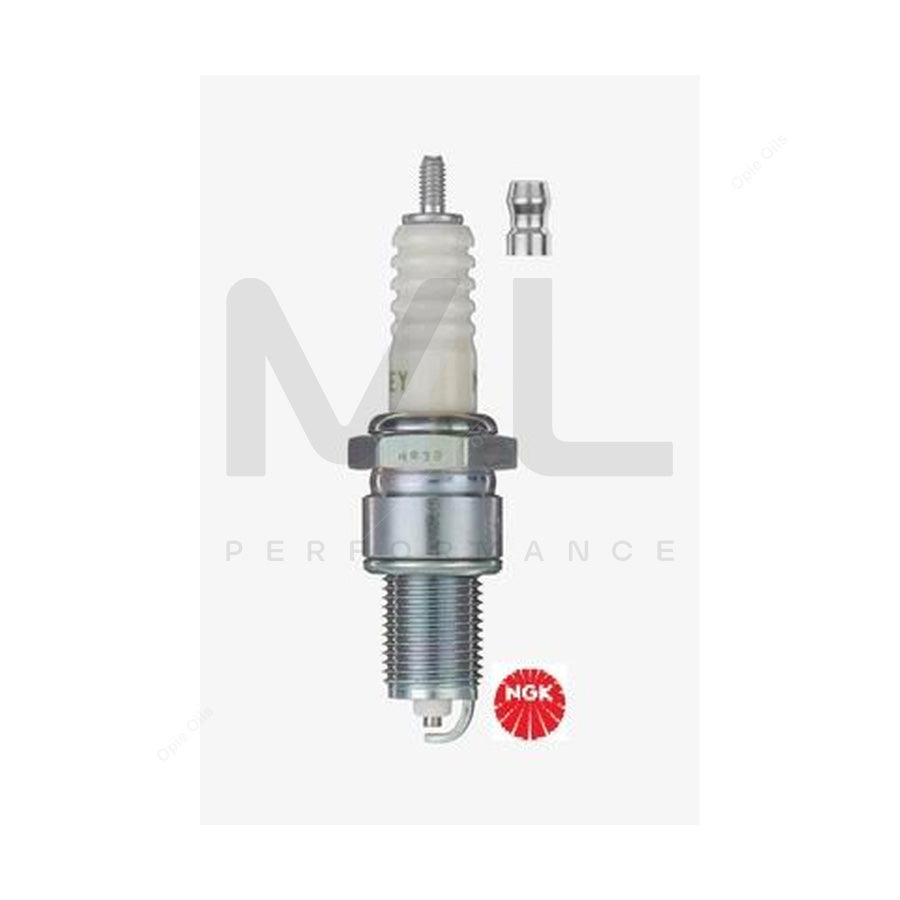 NGK BP6EY (7727) - Standard Spark Plug / Sparkplug - Projected Centre ...